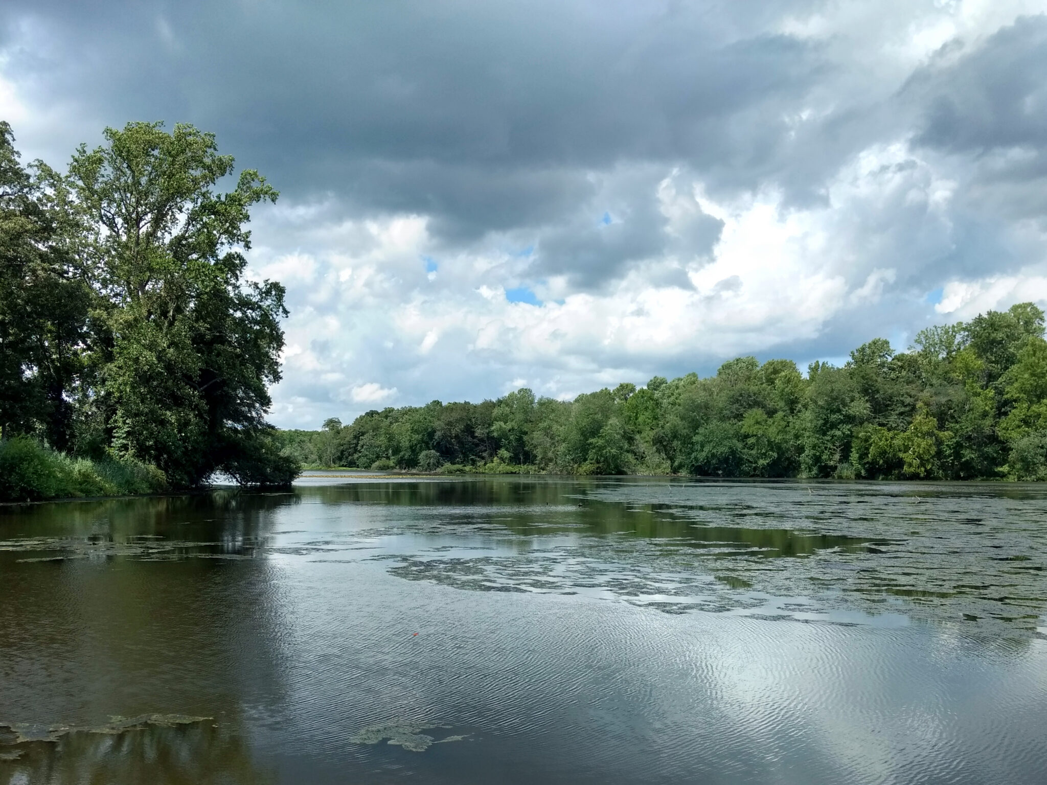 Public Lakes in the Cohansey Watershed – Cohansey Area Watershed ...